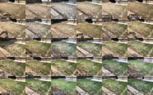 【完全版】TM9芝張り1年目のお手入れ内容と成長記録まとめ | 雑木と芝生の庭DIY