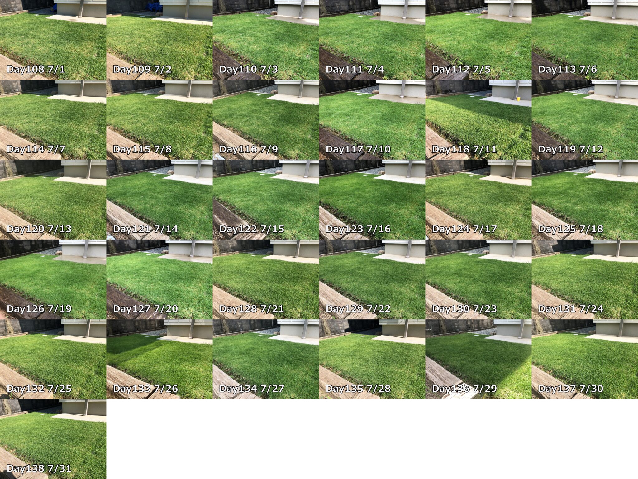 【完全版】TM9芝張り1年目のお手入れ内容と成長記録まとめ | 雑木と芝生の庭DIY